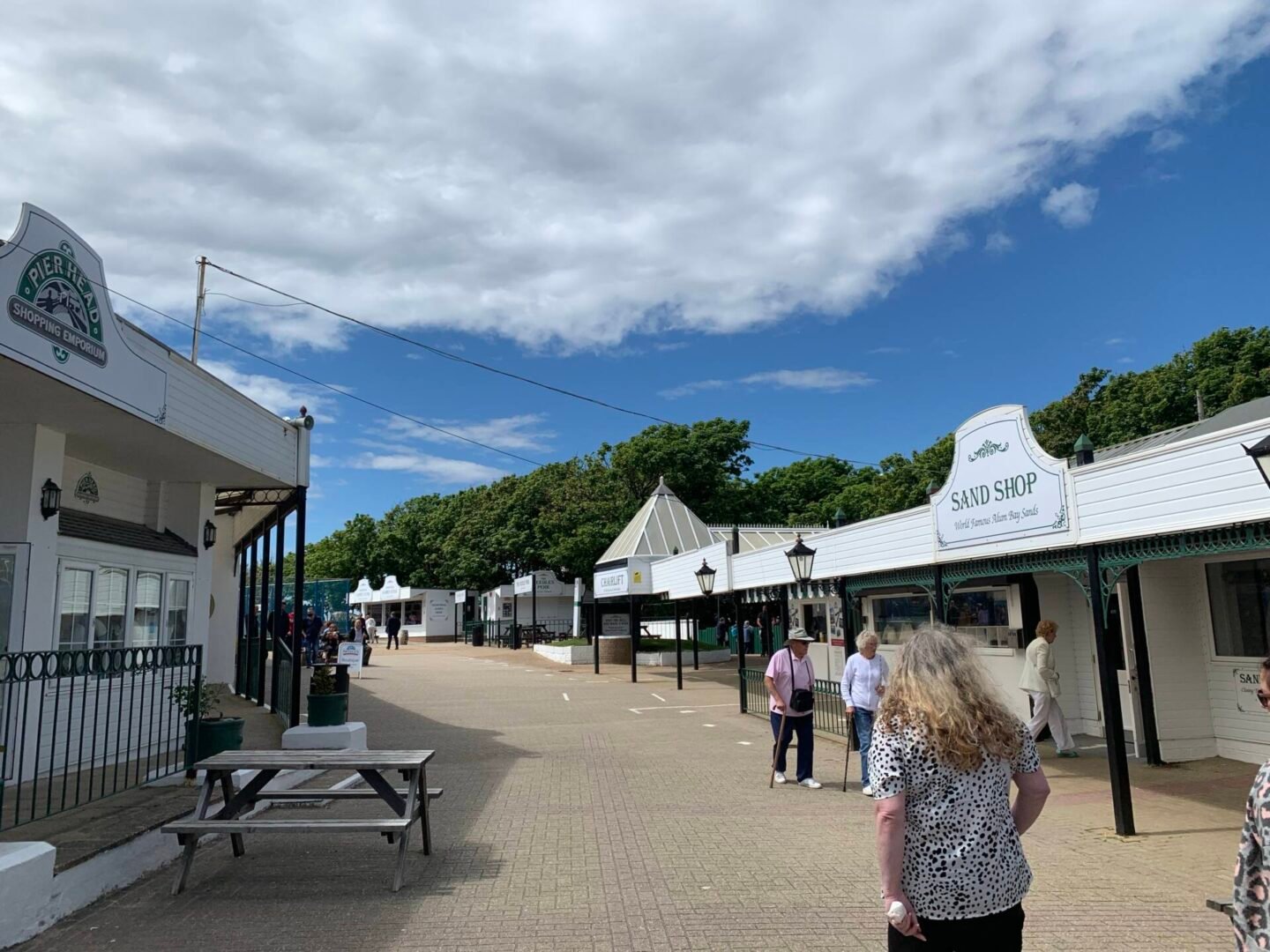 Dog-Friendly Places on the Isle of Wight - Lellalee